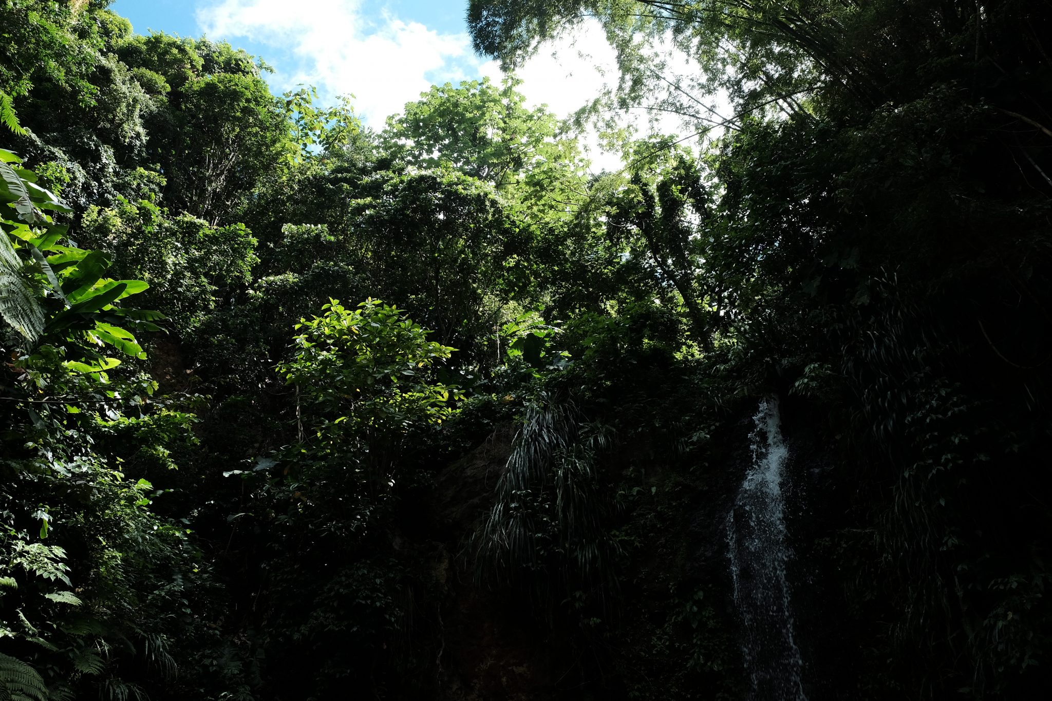 The best things to do in St Lucia - Changing Coastlines