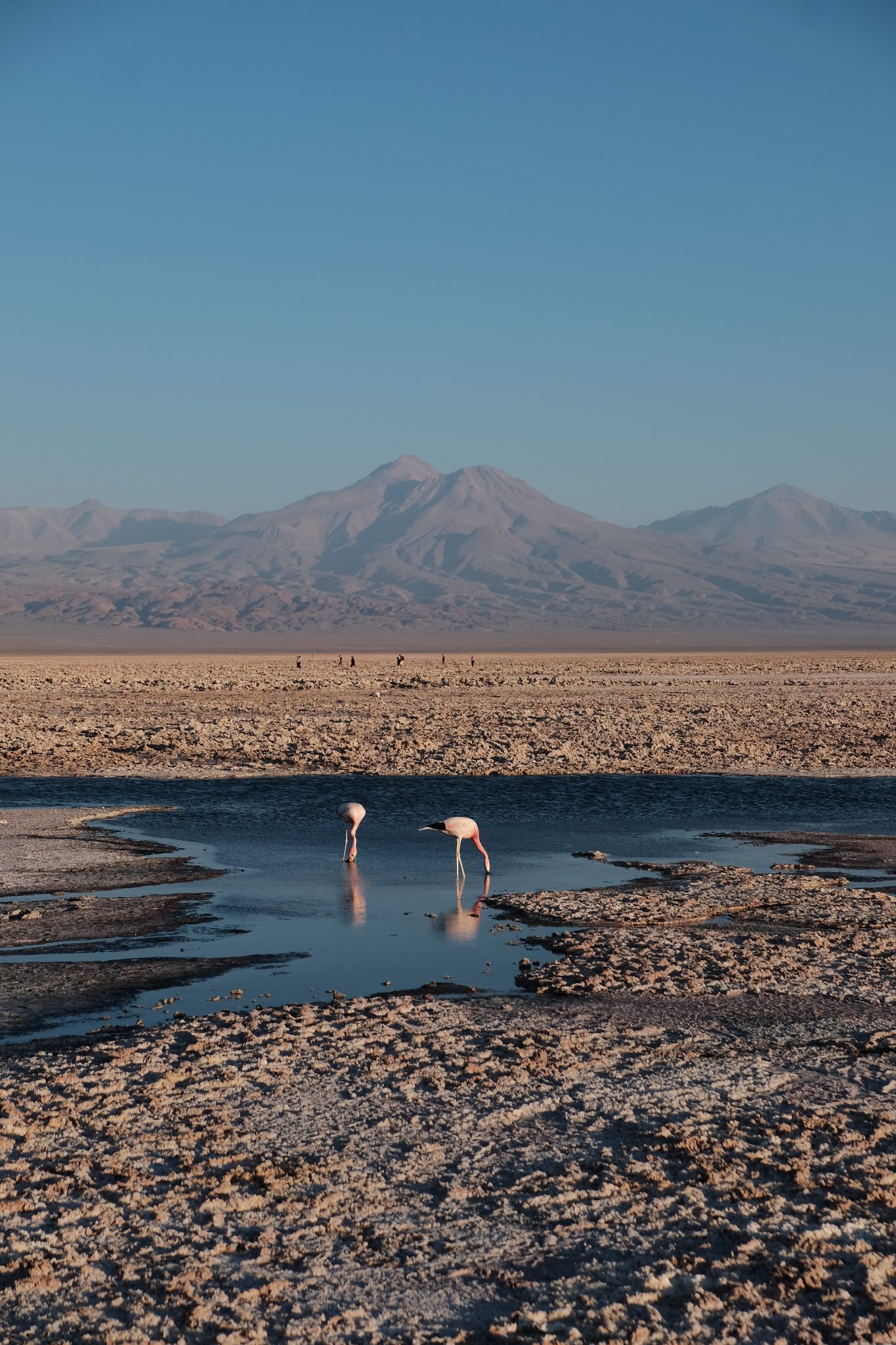 Best things to do in the Atacama Desert- Changing Coastlines